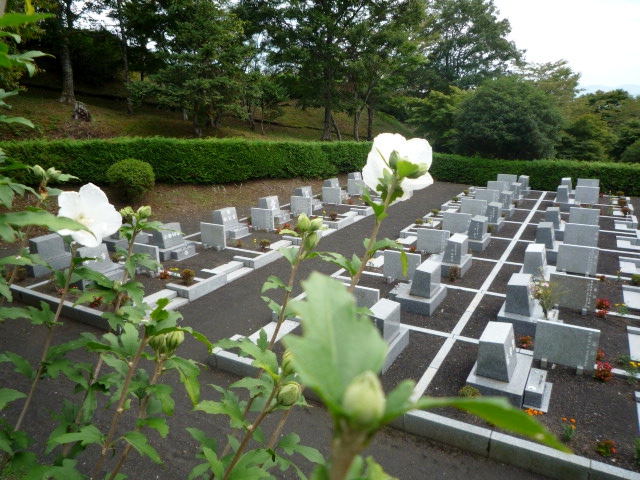 久しぶりに富士霊園へ墓参♪: 富士男♪だより